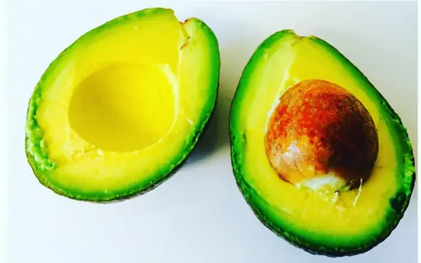Avocado Stone: Benefits – Garden Growth Tips