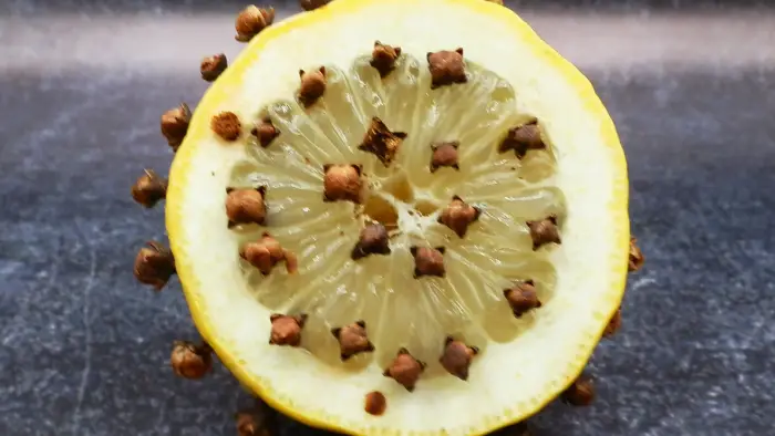 Key Benefits of Lemon and Clove – Garden Growth Tips