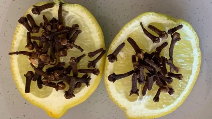 Mixing Cloves With Lemon: The Secret No One Will Ever Tell You – Garden ...